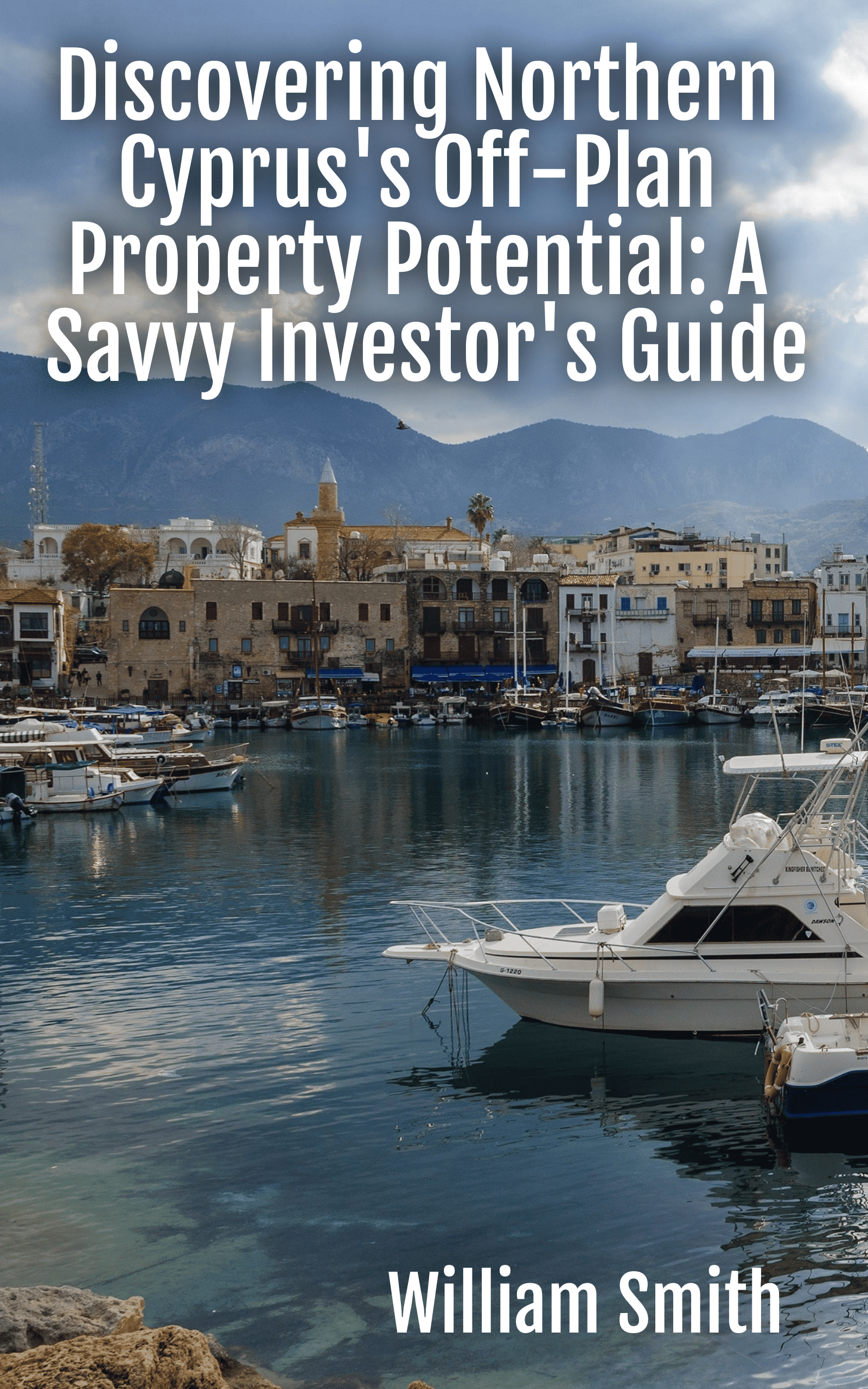 Books - The Savvy Investor's Guide